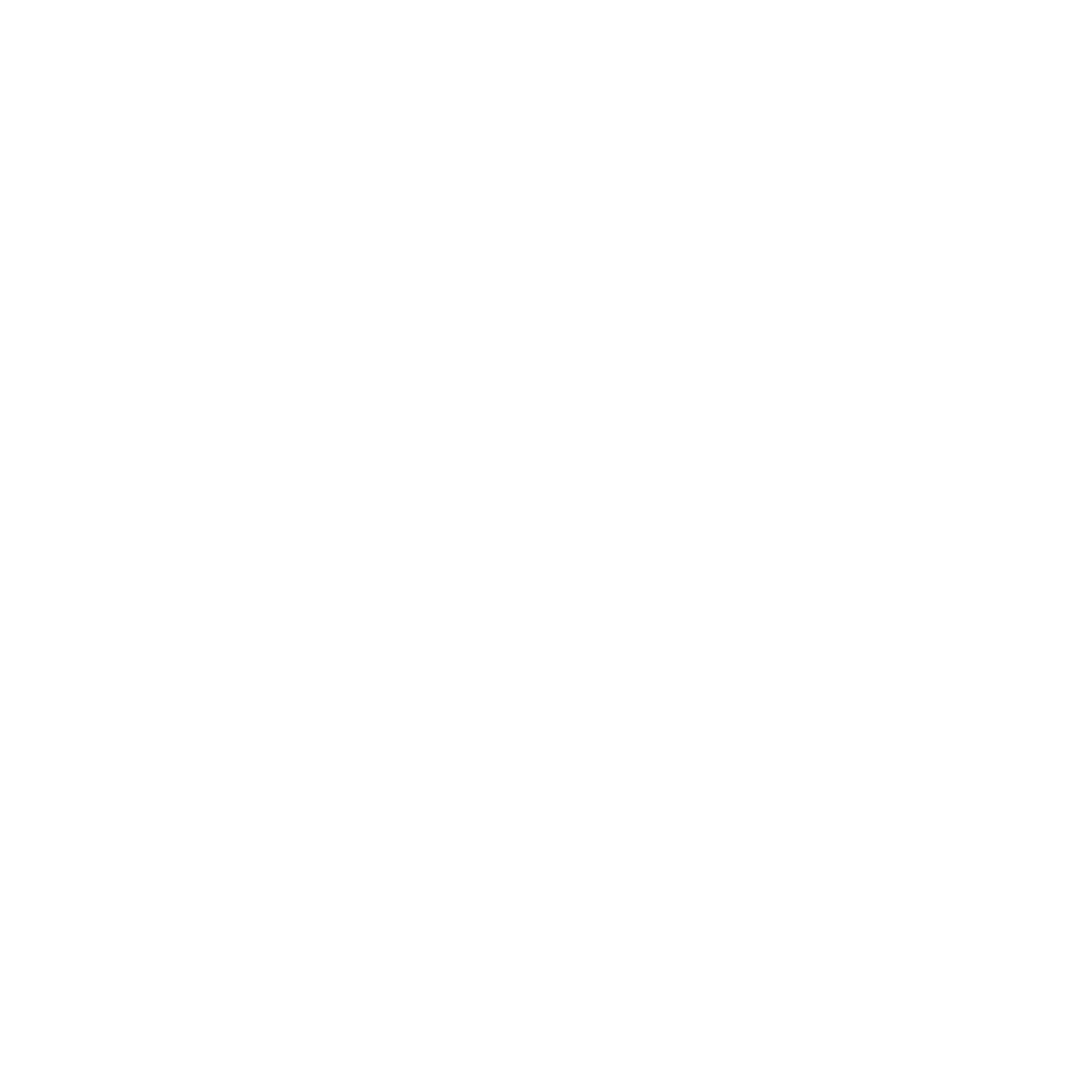 Perfect Store Partner